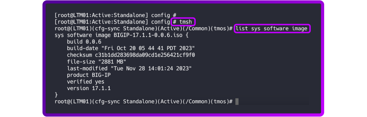 Troubleshooting F5 BIG-IP update issues | Loadbalancer