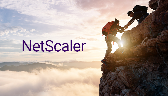 How to overcome the pitfalls of Citrix NetScaler backups