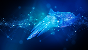 Loadbalancer.org product roadmap